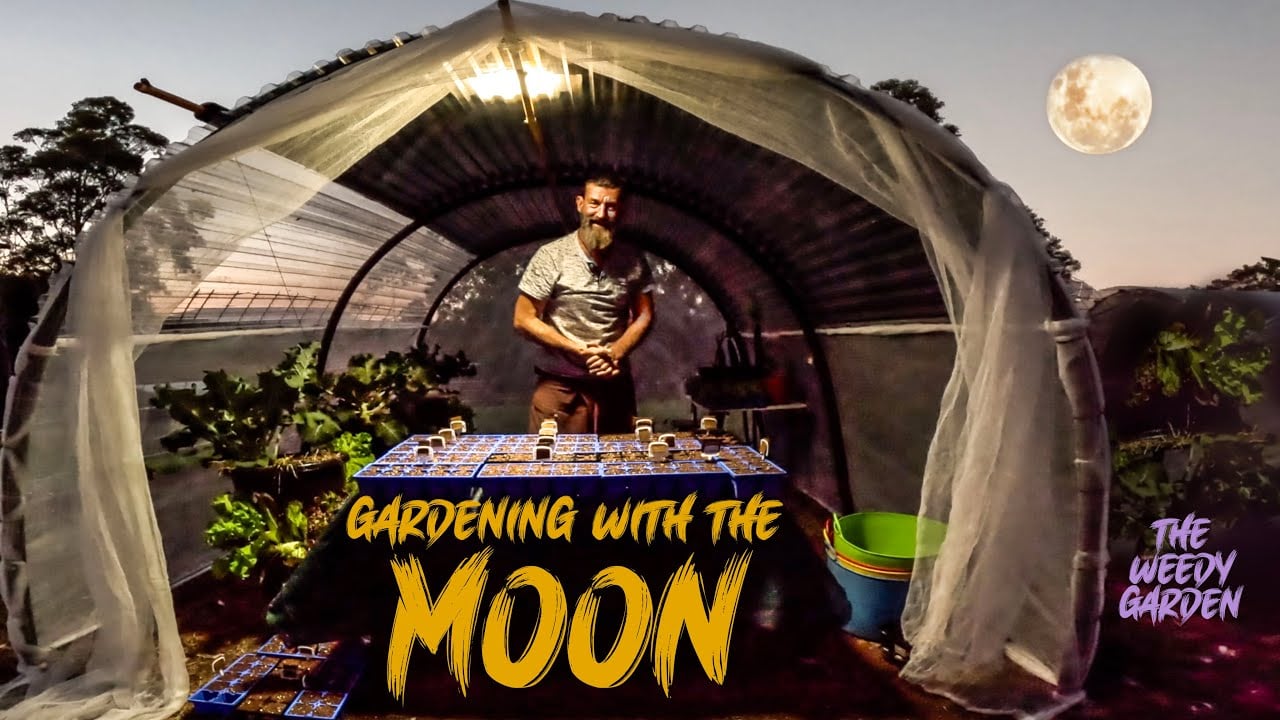 Gardening by the Moon: An Ancient Astronomical Method Said to Result in ...