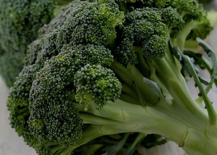 Broccoli Varieties: 20 Types Of Broccoli You Can Grow - Gardening Chores