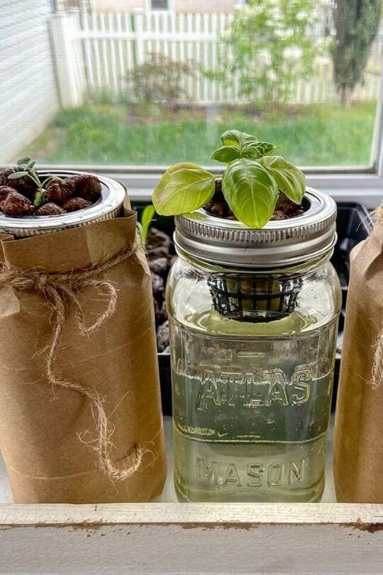 The Kratky Method: Growing With With Passive Hydroponic Technique