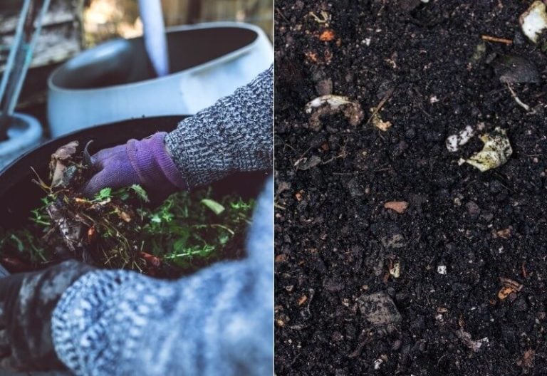 Humus Vs. Compost: What’s The Difference? - Gardening Chores