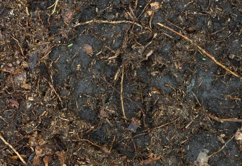 Humus Vs. Compost: What’s The Difference? - Gardening Chores