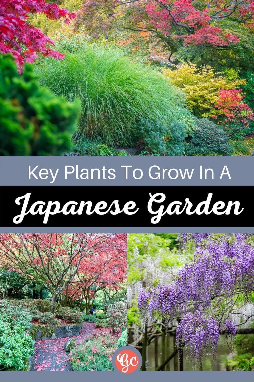 12 Traditional Japanese Garden Plants & Flowers - Gardening Chores