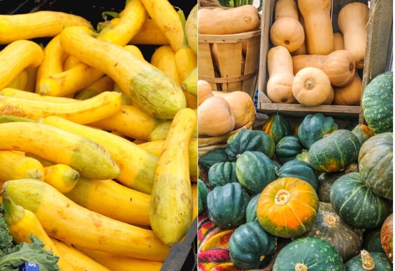 Types Of Squash: 23 Best Squash Varieties To Grow in Gardens