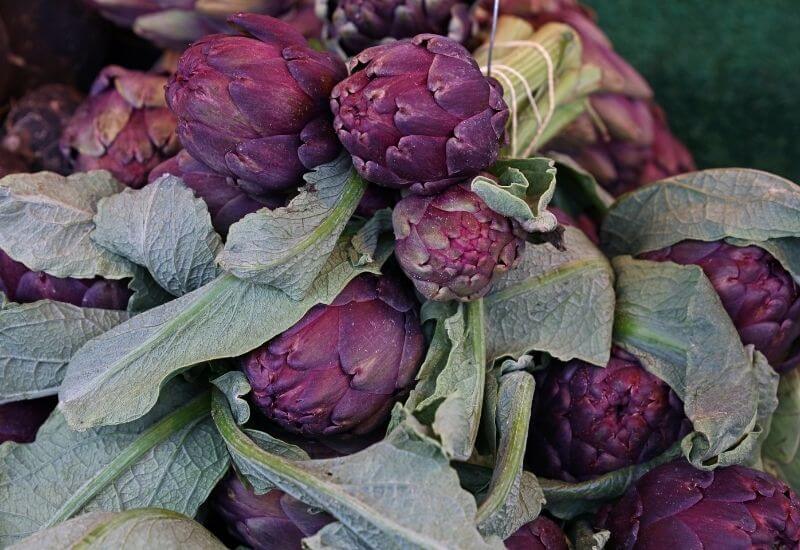 17 Edible Perennial Vegetables To Plant Once & Grow Forever