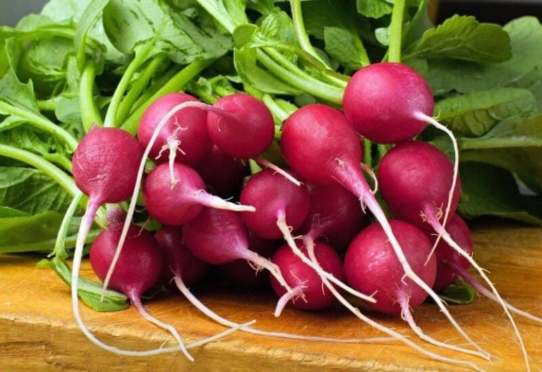 20 Winter Vegetables To Plant In Your Cool Season Garden