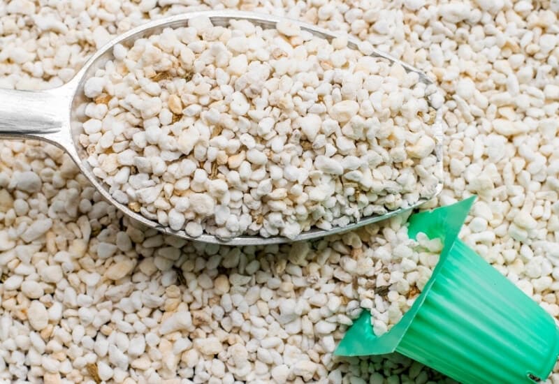 Vermiculite vs. Perlite: Differences, Uses, & Benefits To Know
