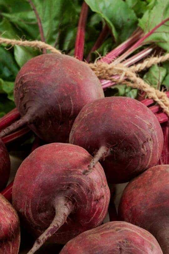 20 Best Type Of Beet Varieties To Grow - Gardening Chores