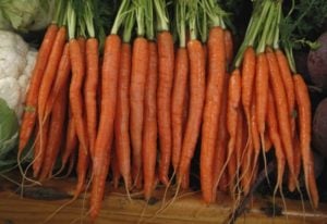 Types Of Carrots: 20 Different Varieties & How To Grow Them In Your Garden