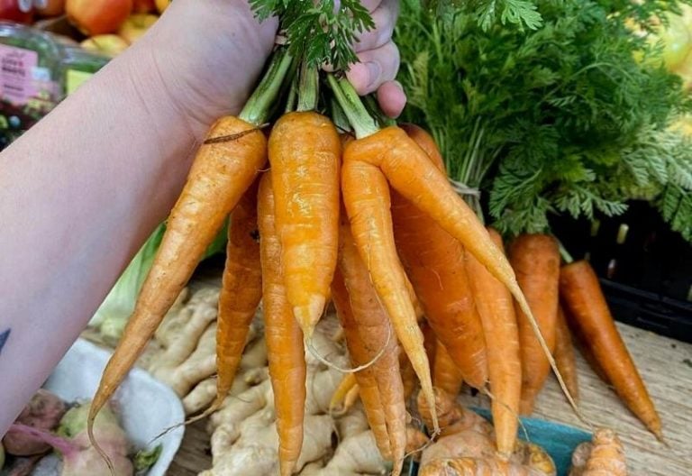 Types Of Carrots: 20 Different Varieties & How To Grow Them In Your Garden