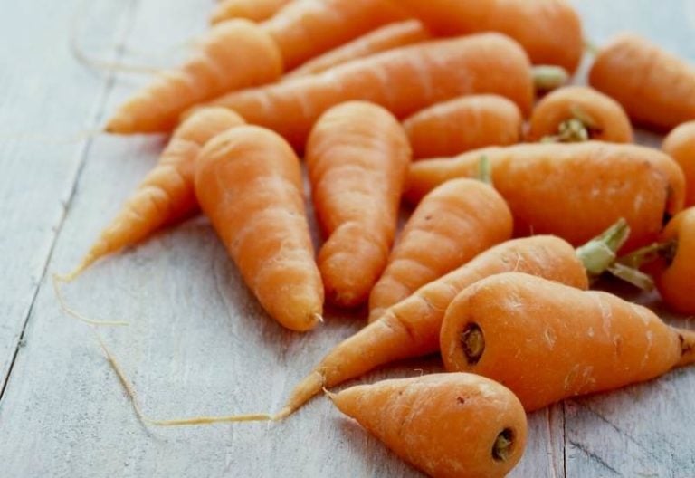 Types Of Carrots: 20 Different Varieties & How To Grow Them In Your Garden