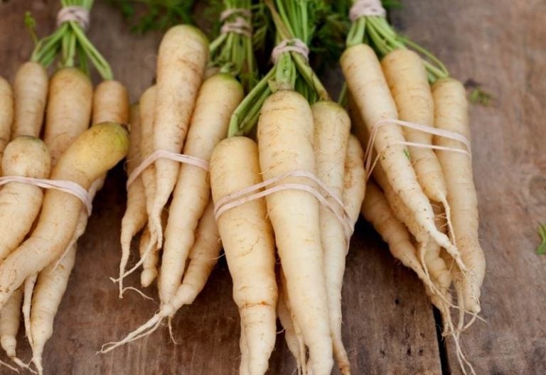 Types Of Carrots: 20 Different Varieties & How To Grow Them In Your Garden