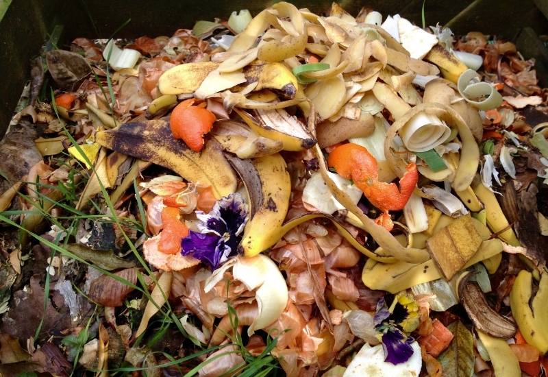 Creating The Perfect Soil pH For Acid Loving Tomatoes