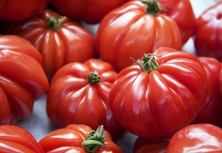 How To Grow Huge And Juicy Beefsteak Tomatoes In Your Garden