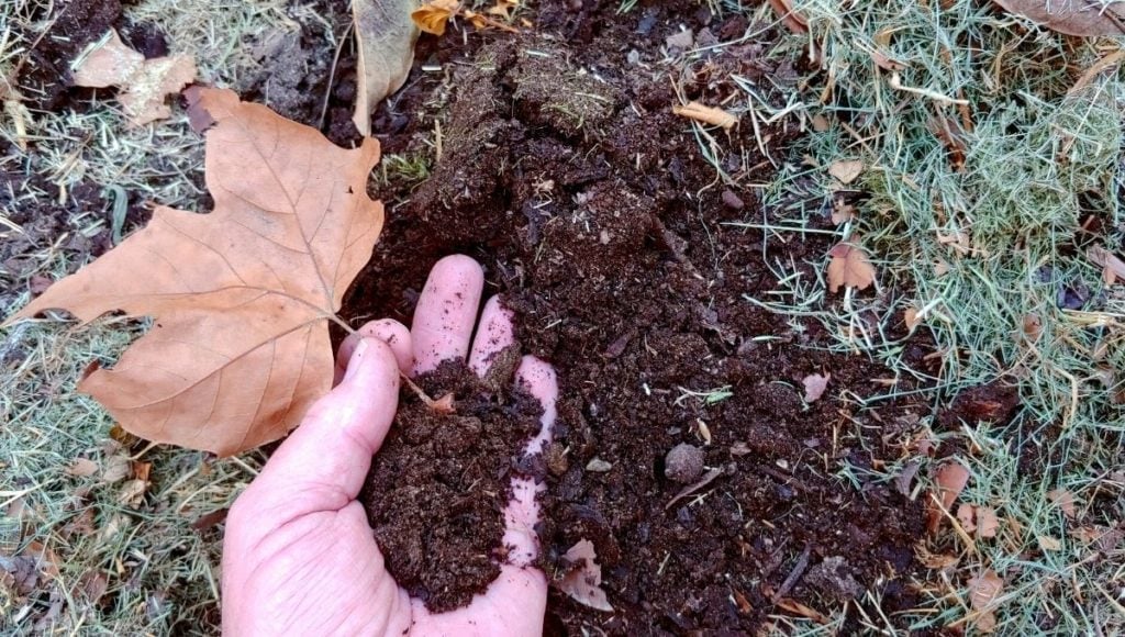 How To Compost Leaves Fast! 5 Tricks to Speed Up Your Leaf Compost Pile ...