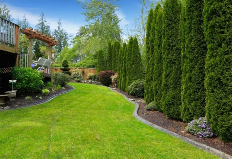 Columnar Trees: 10 Tall Skinny Species for Small Landscapes & Narrow Spaces