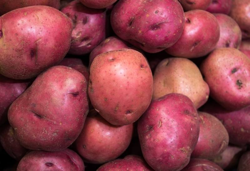 10 Best Heirloom Potato Varieties to Grow & What Makes Them So Special