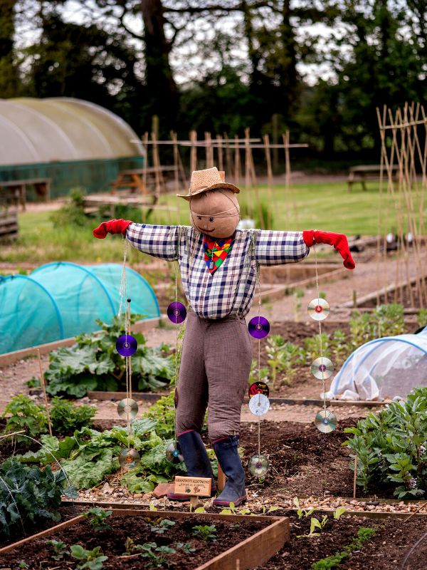The Essential Spring Garden Prep Checklist for a Successful Growing Season