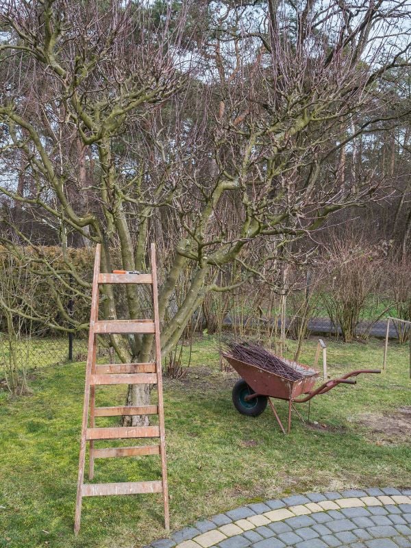 The Essential Spring Garden Prep Checklist for a Successful Growing Season