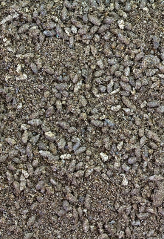 11 Best Organic Soil Amendments For Your Vegetable Garden