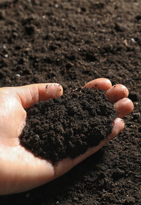 11 Best Organic Soil Amendments For Your Vegetable Garden