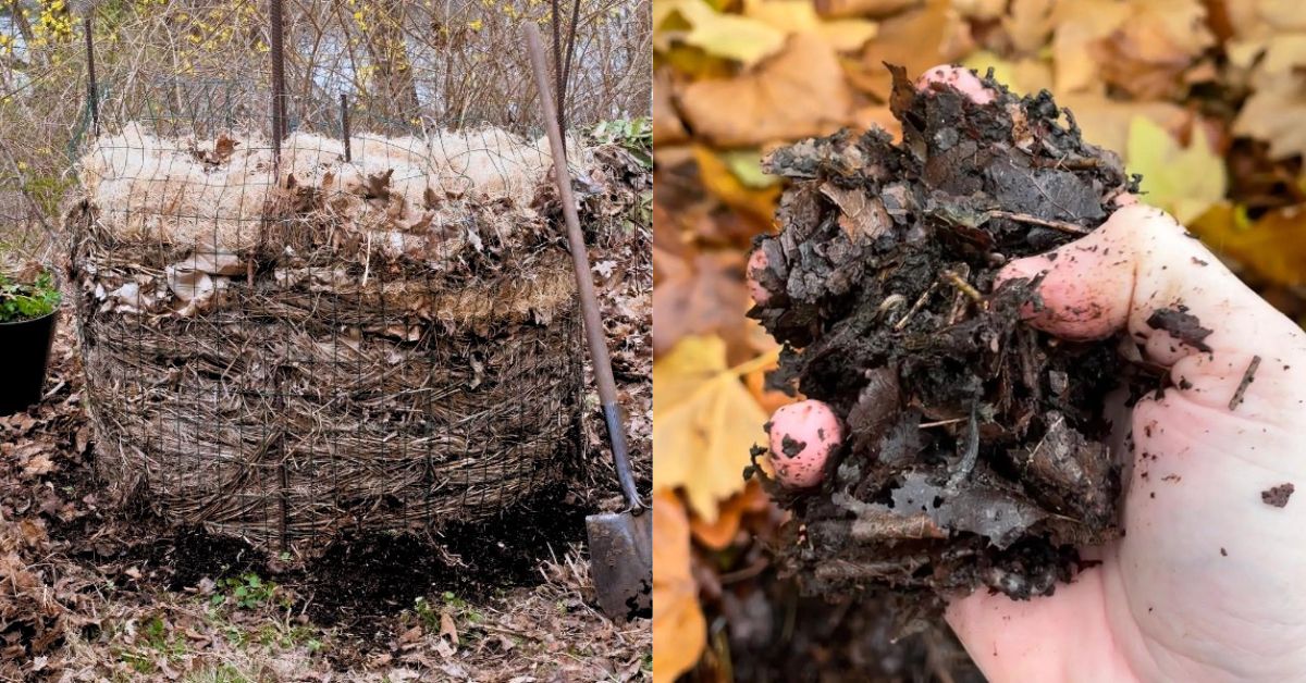 How To Compost Leaves Fast! 5 Tricks to Speed Up Your Leaf Compost Pile ...
