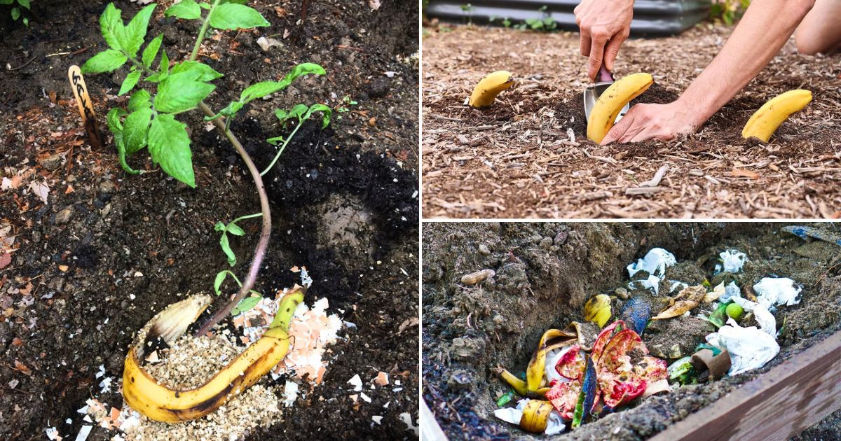 9 Surprising Items You Can Bury in Your Garden Soil to Boost Nutrients ...