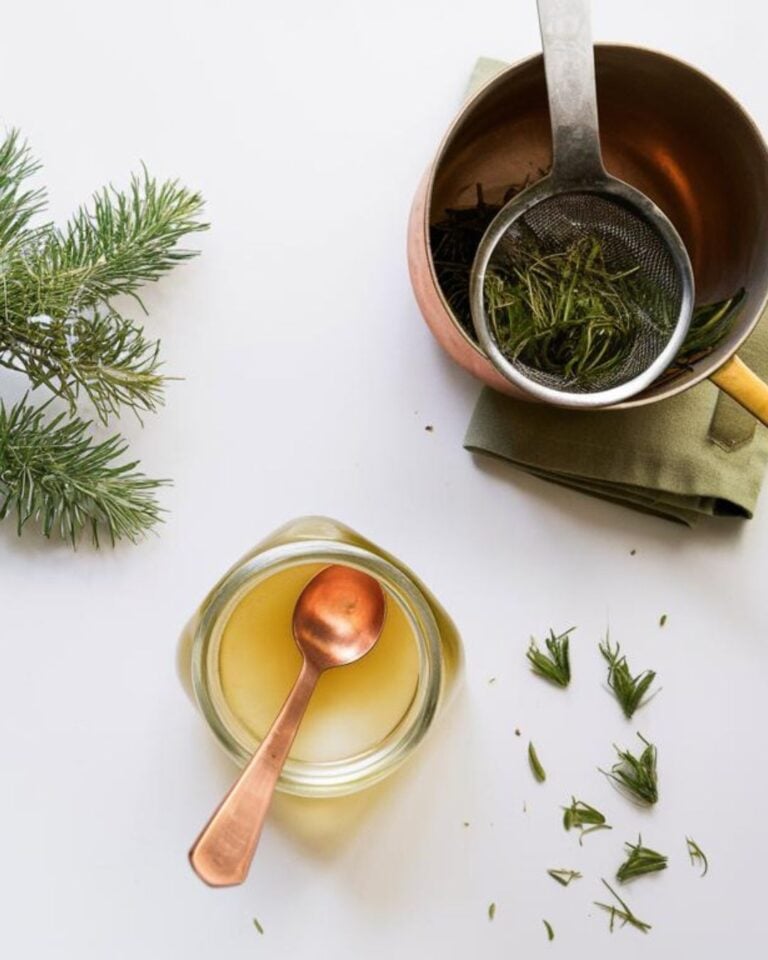 Classic Conifer Tip Syrup With Spruce, Fir, Pine or Hemlock (Tsuga)