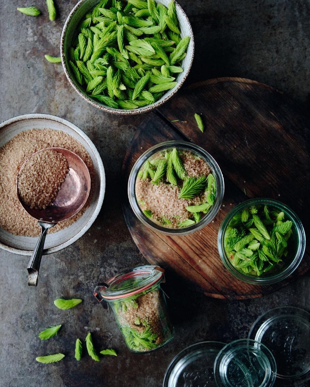 Classic Conifer Tip Syrup With Spruce, Fir, Pine or Hemlock (Tsuga)