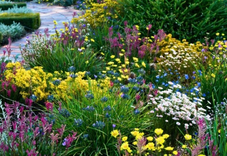 Plant the Perfect Wildflower Garden This Spring