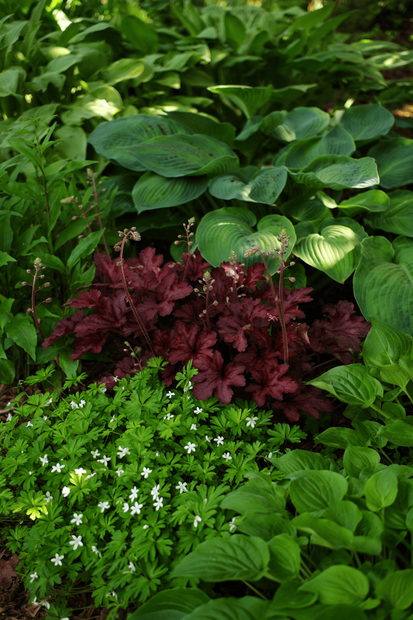 12 Groundcovers That Crowd Out Weeds Once and for All